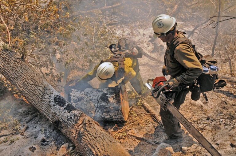 How to Splint an Extremity in the Wilderness - Response Ready Medical